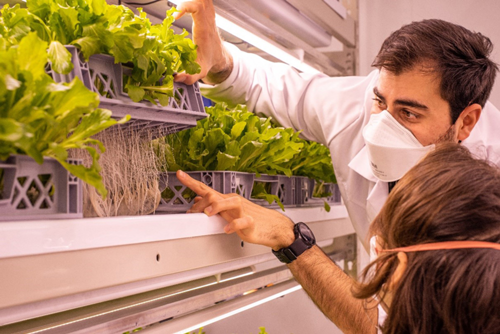 LettUs Grow | GENeco